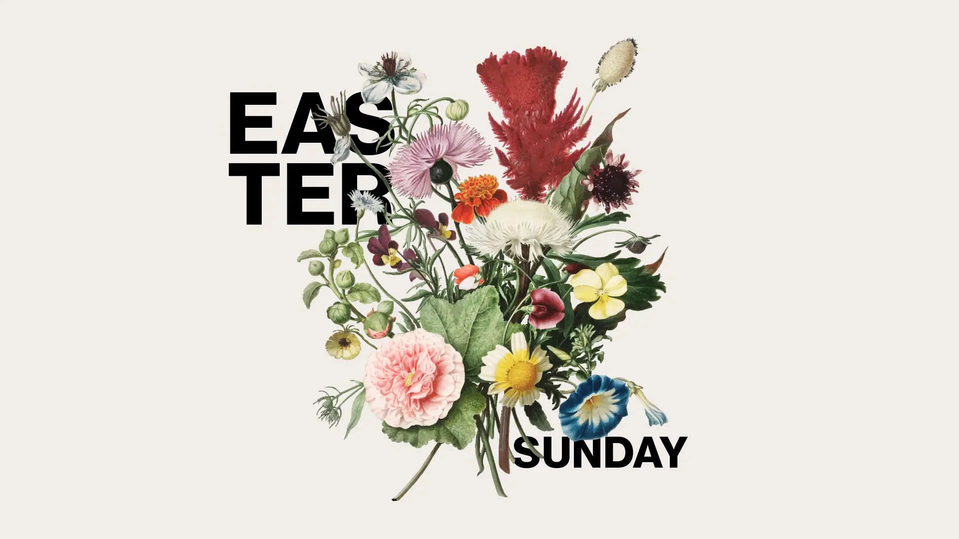 Easter Celebration - Remix Church Media Events - Church Graphics