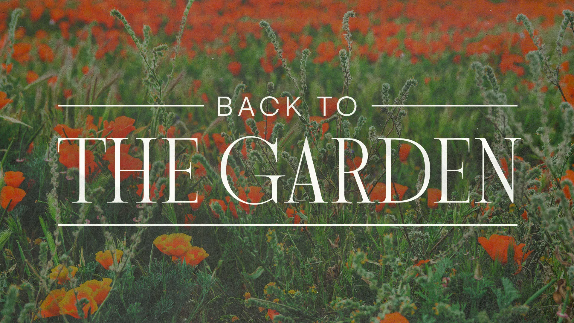 Back To The Garden - Remix Church Media - Church Graphics