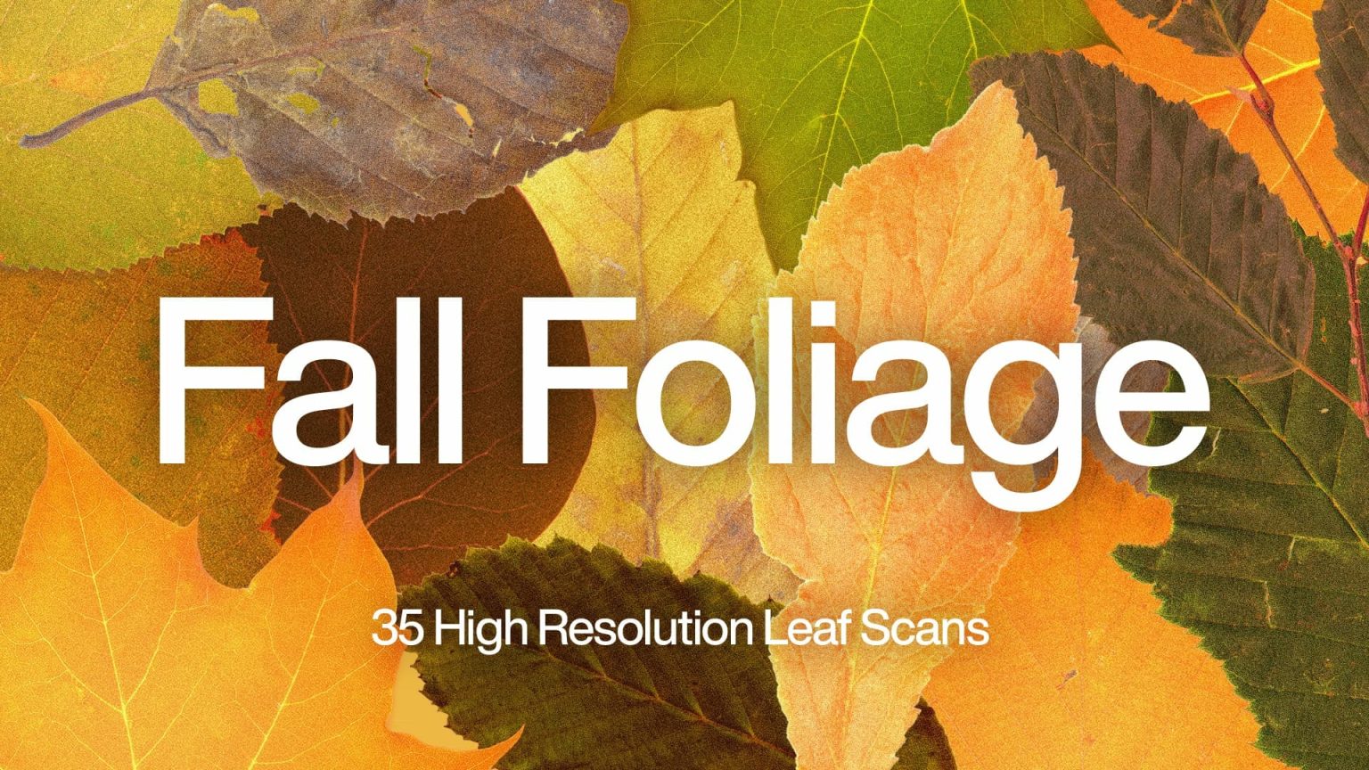 Fall Foliage | Design Tools - Remix Church Media - Church Graphics